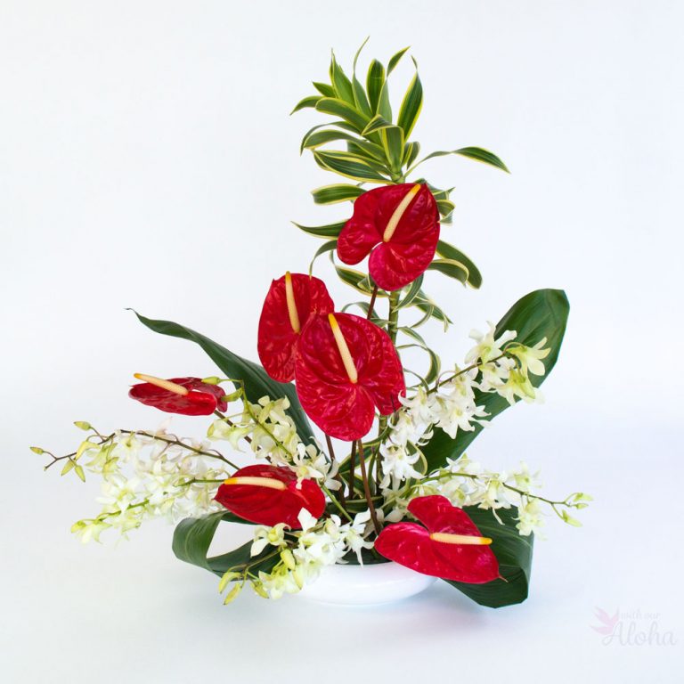 Aloha ‘Love’ – Hawaiian Flower Assortment – Not Arranged – Shipped Mon ...