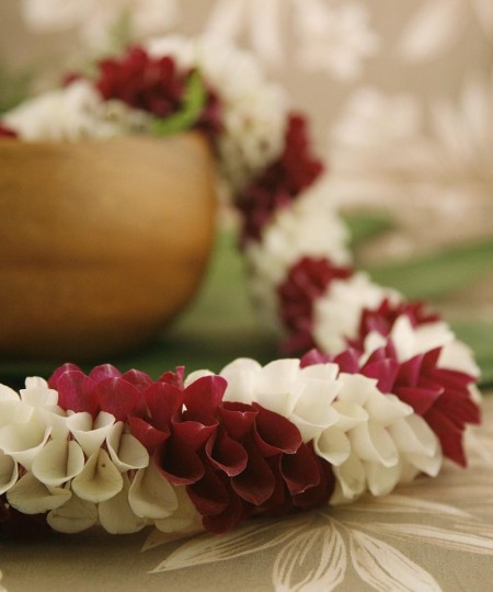 Hawaiian Lei Flowers White | Best Flower Site