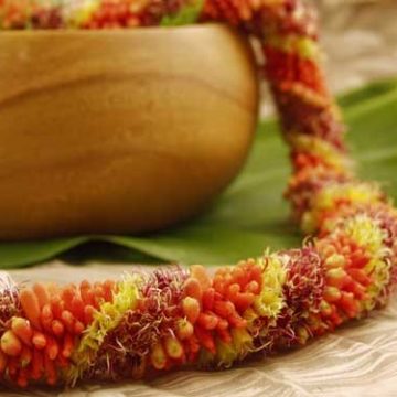 Standard Leis - Fresh Hawaiian Leis at Discount Prices